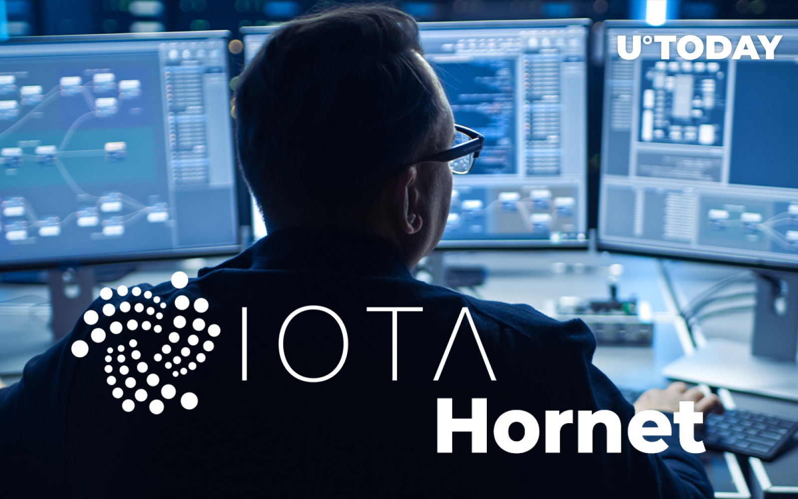 IOTA Releases Hornet Node Software, Paving Way to IOTA 1.5 - U.Today